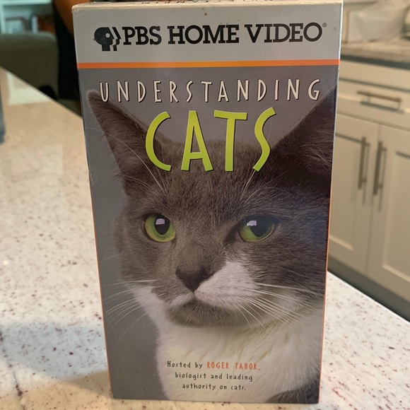 Other | Understanding Cats Pbs Home Video Vhs | Poshmark